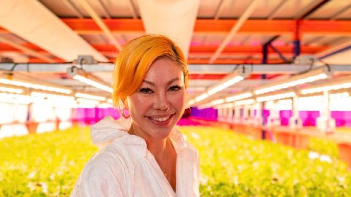 GroGrace founder Grace Lim is fighting to save her pesticide-free ...