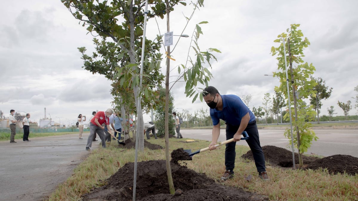 170,000 trees to be planted to ‘green’ industrial estates by 2030 ...