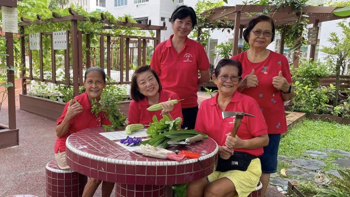 Meet the community gardeners of Marine Crescent Ville who nurture their ...
