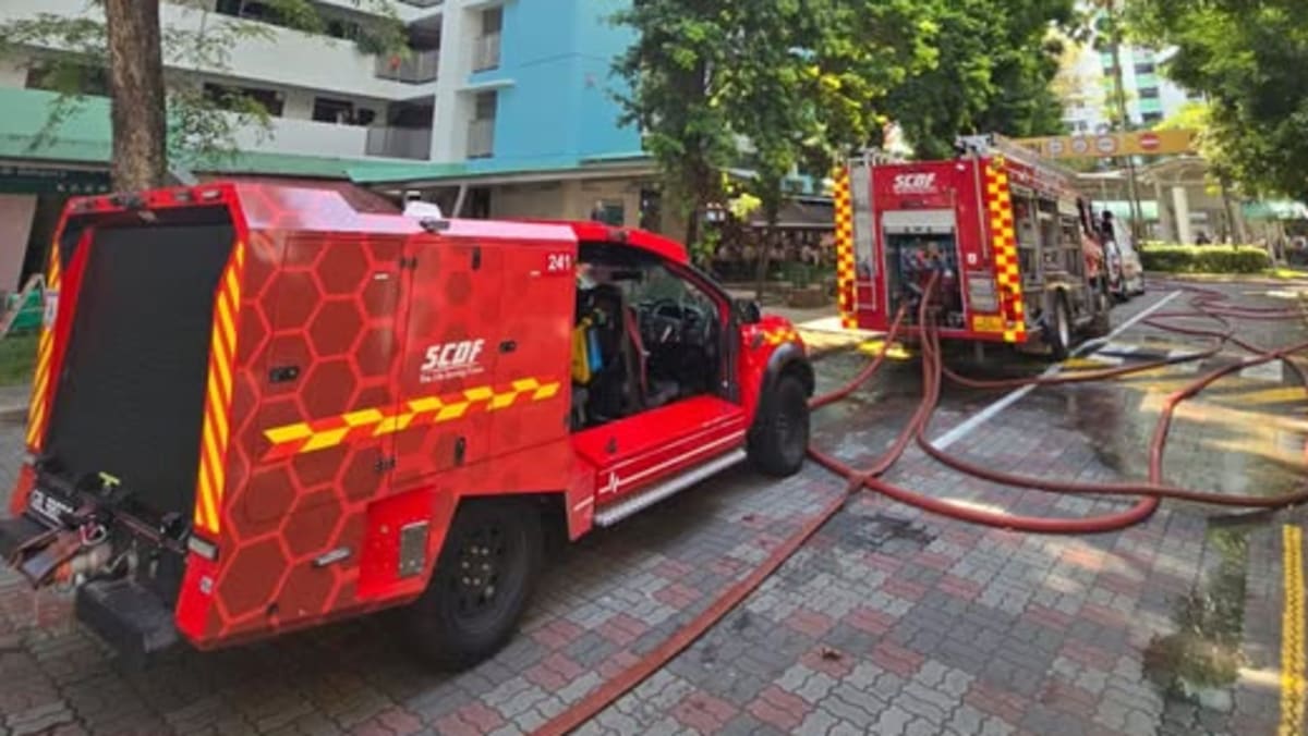 Toa Payoh blaze: Faulty riser forced firefighters to haul hoses up 10 ...