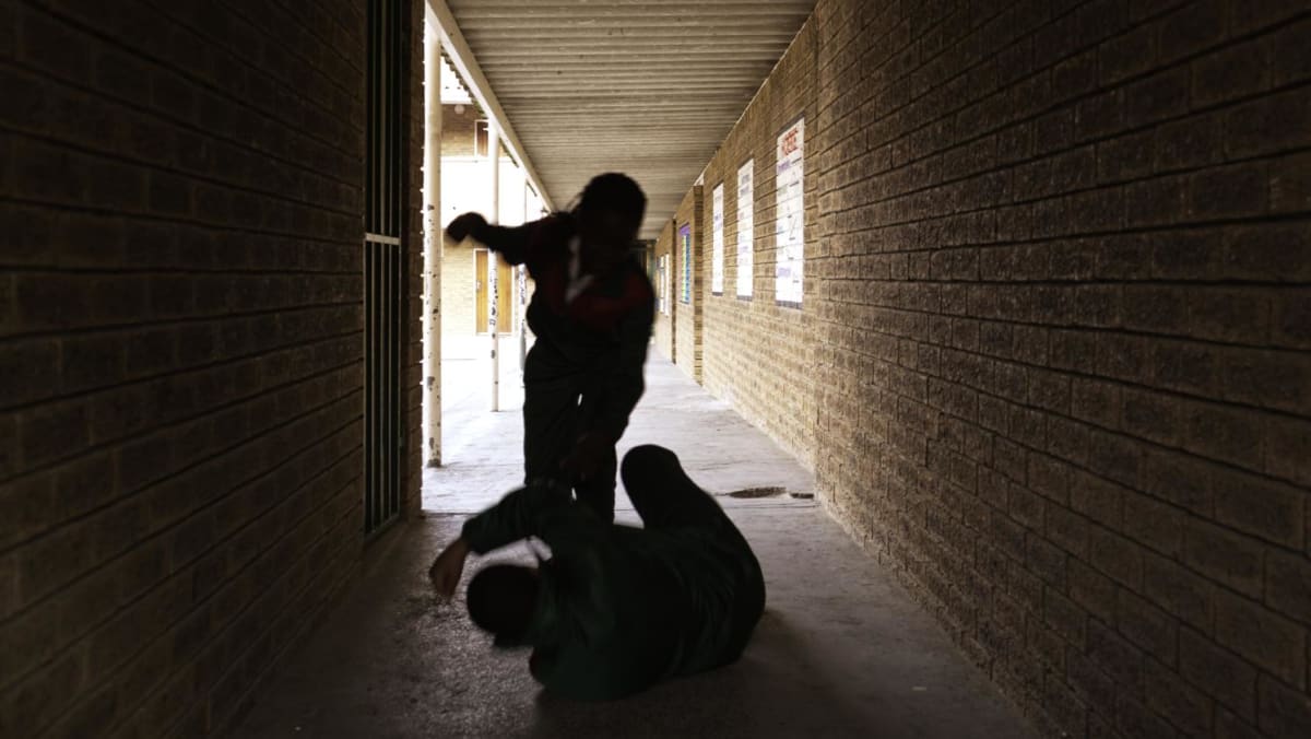 IN FOCUS: Are Singapore’s youth fighting more - or simply filming more ...