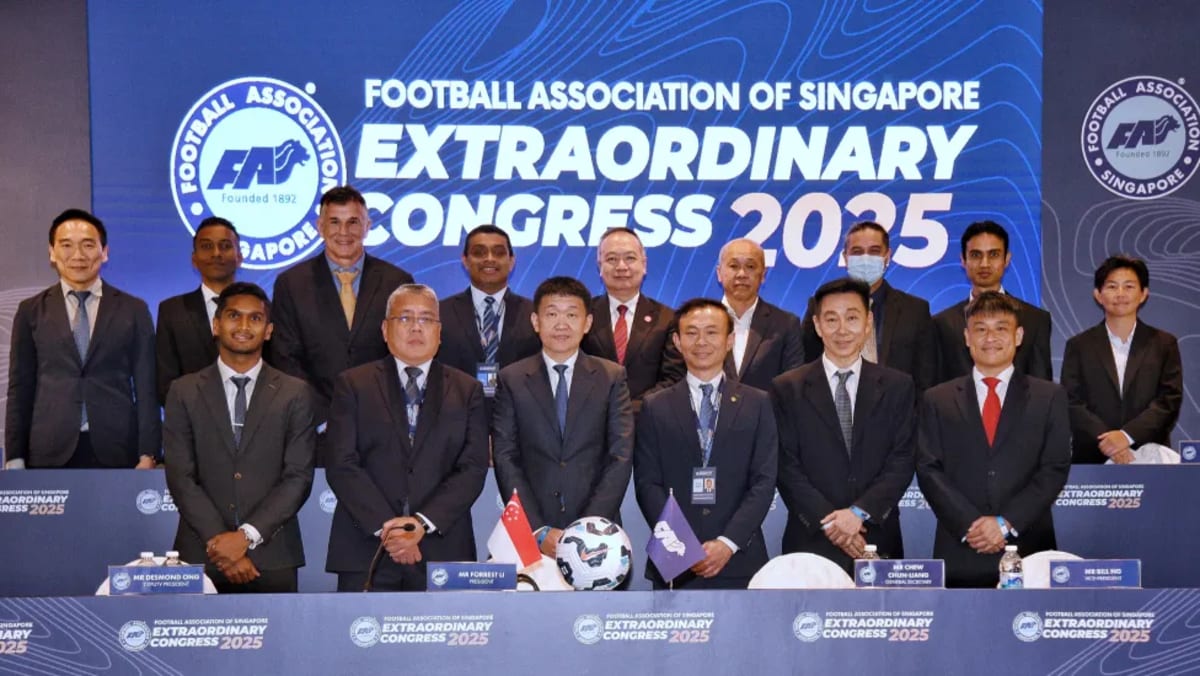 Lion City Sailors owner Forrest Li elected unopposed as FAS president - CNA