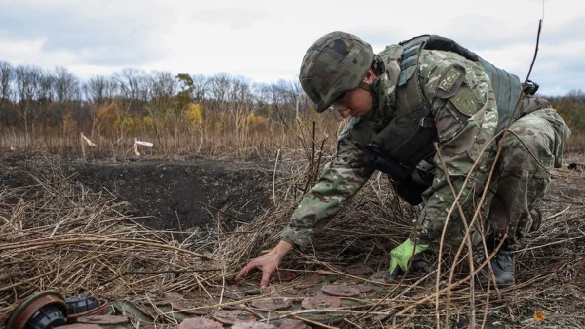 Despite losing limbs, Ukrainian sappers return to work clearing land ...