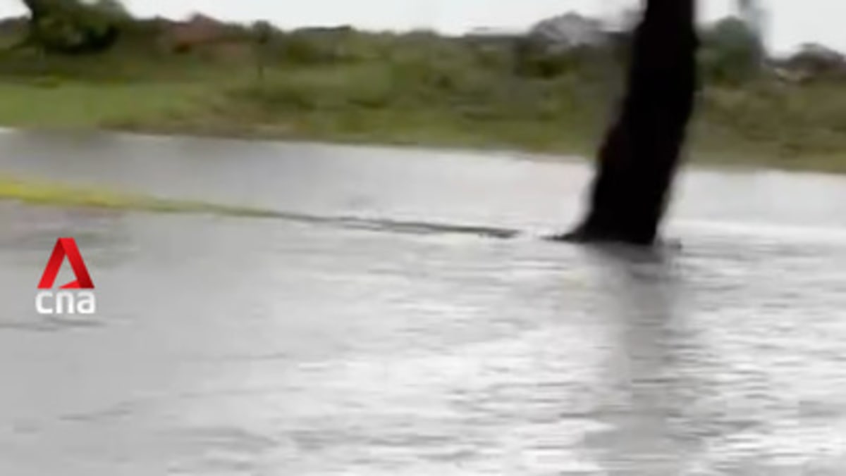 Man swims at flooded Sydney golf course after heavy rain - CNA