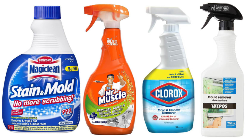 Mould Problem At Home? Here's What You Can Do To Remove Mould & How To ...