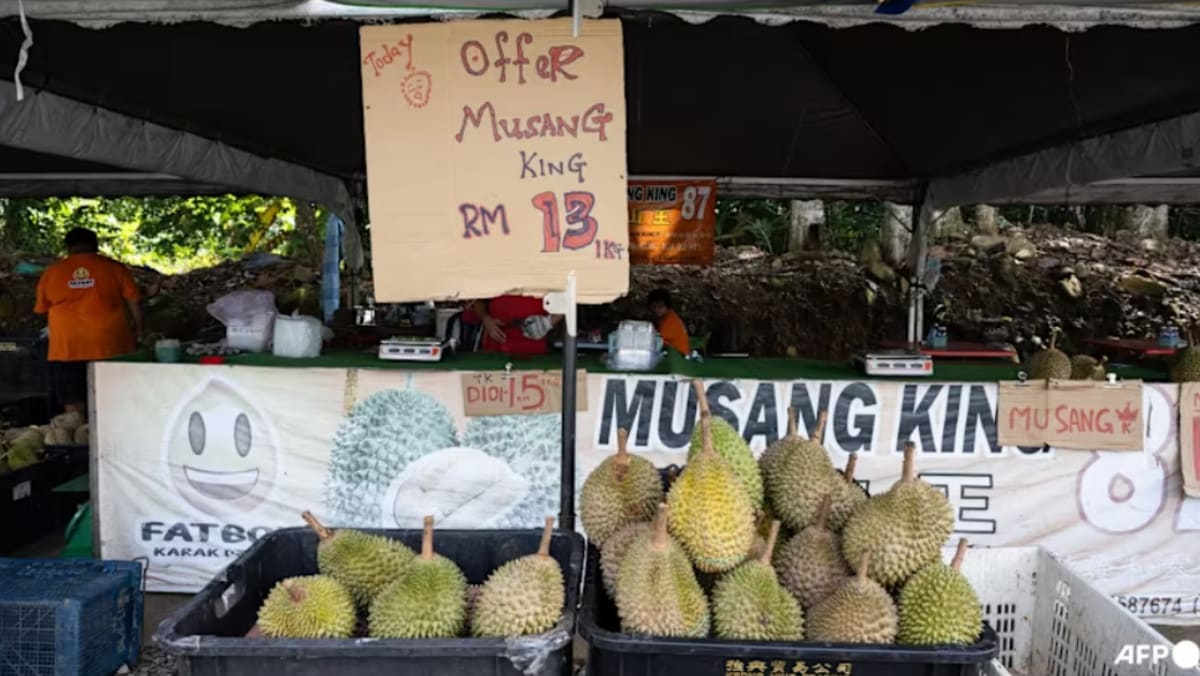 Rakyat Malaysia 'serbu' gerai durian setelah harga menjunam serendah ...