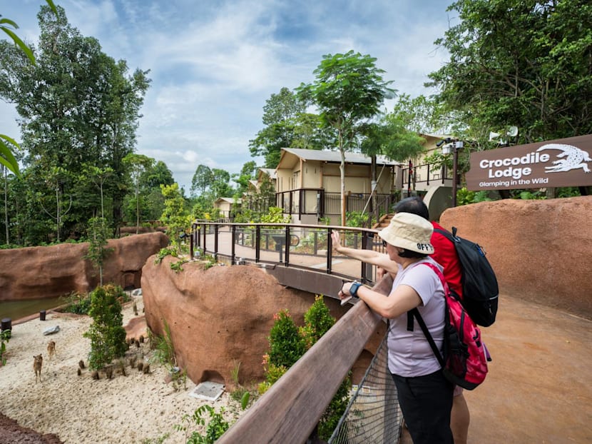Rainforest Wild Adventure East officially opens, completing Mandai ...