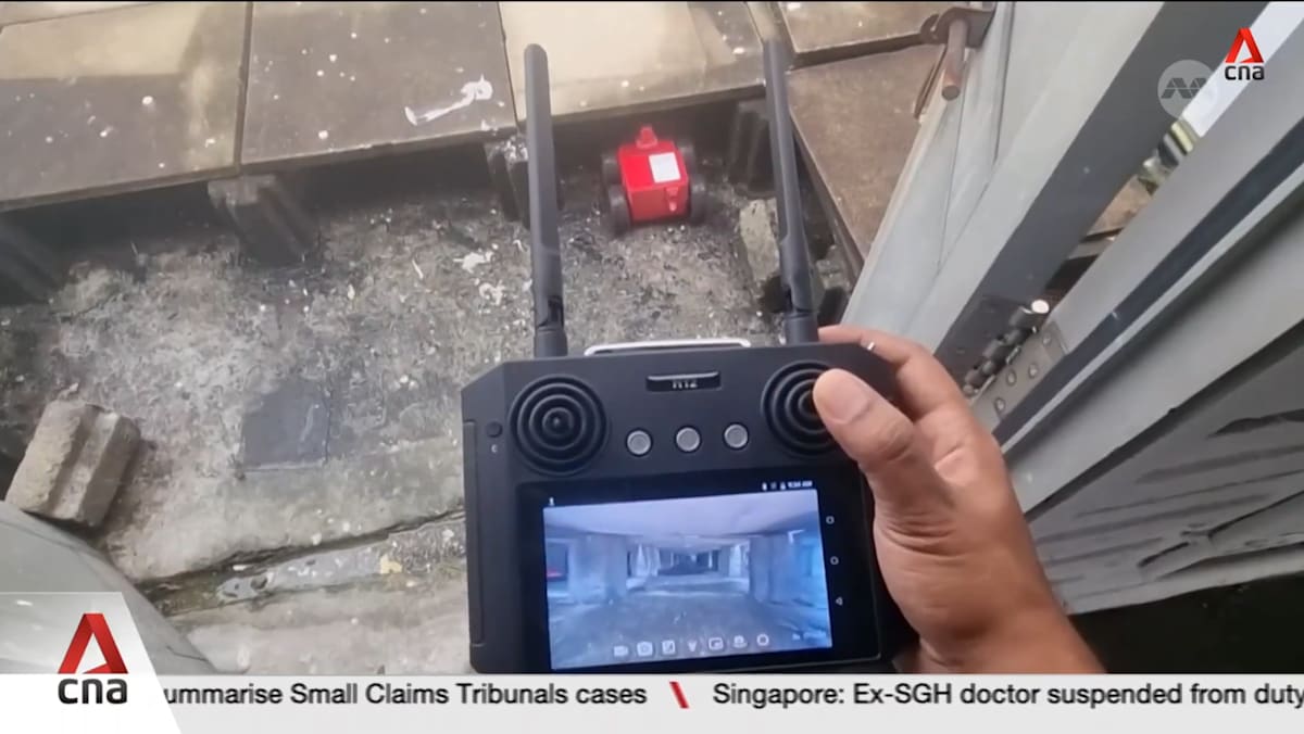 Pest control robots helping to keep mosquitoes, snakes at bay in Singapore - CNA