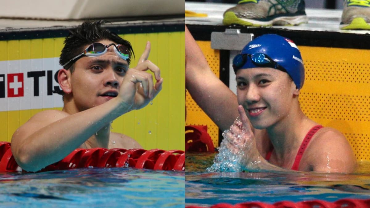 Shanmugam says Joseph Schooling and Amanda Lim treated ‘in same way' as ...