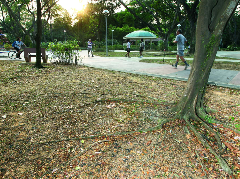 Singapore in grip of record dry spell - TODAY