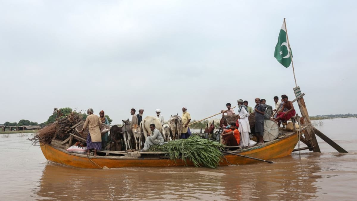 Pakistan evacuates half a million people stranded by floods - CNA