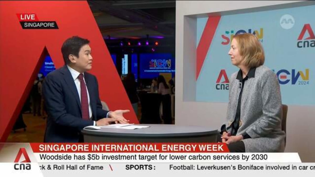 Woodside Energy CEO on LNG outlook and green transition plans - CNA