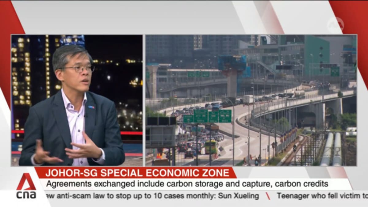 Singapore Business Federation CEO Kok Ping Soon on Johor-Singapore SEZ ...