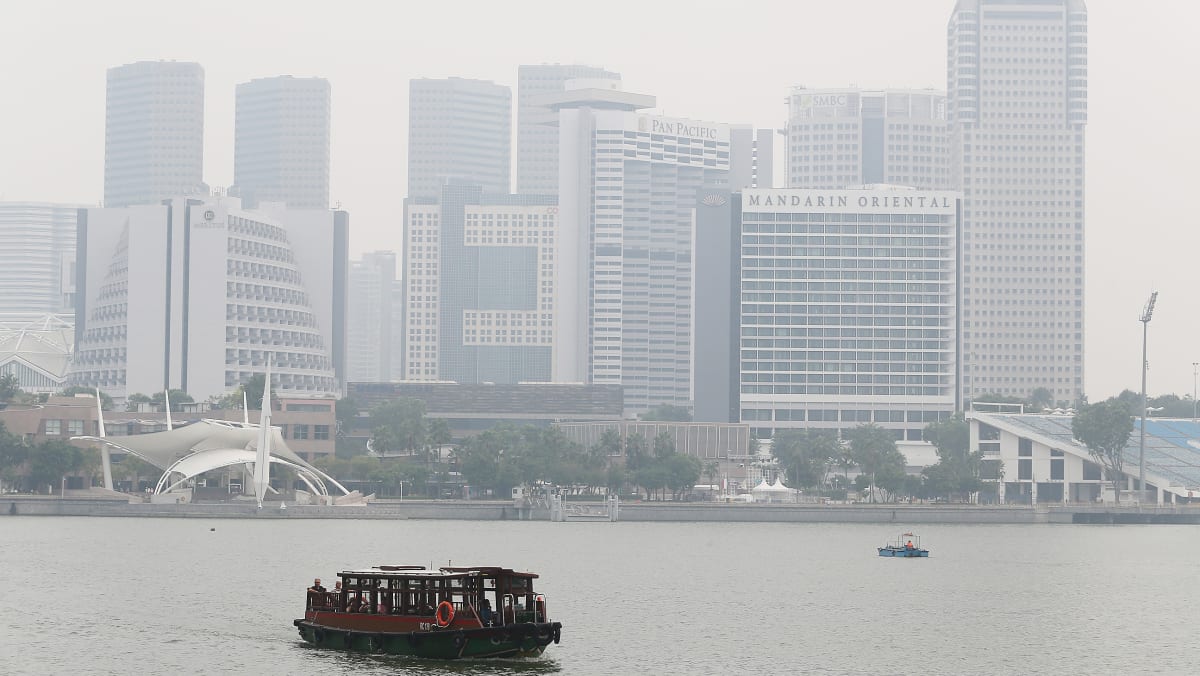 Indonesian minister ticks off S'pore on haze - CNA