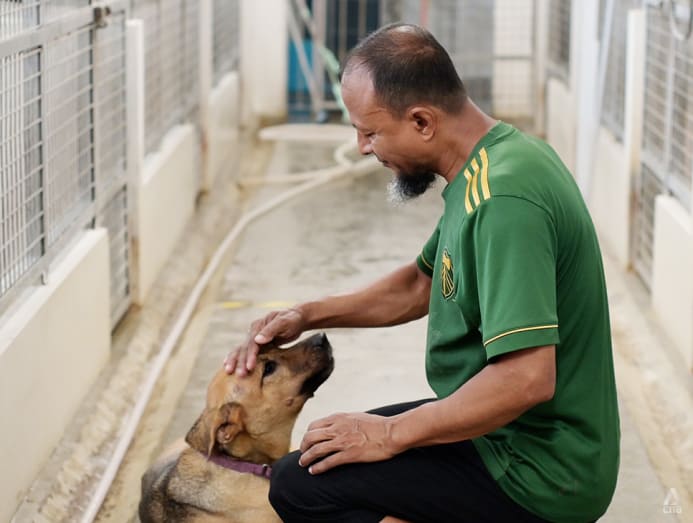 Meet the 2 Bangladeshi caretakers helping rescue dogs at a Singapore ...