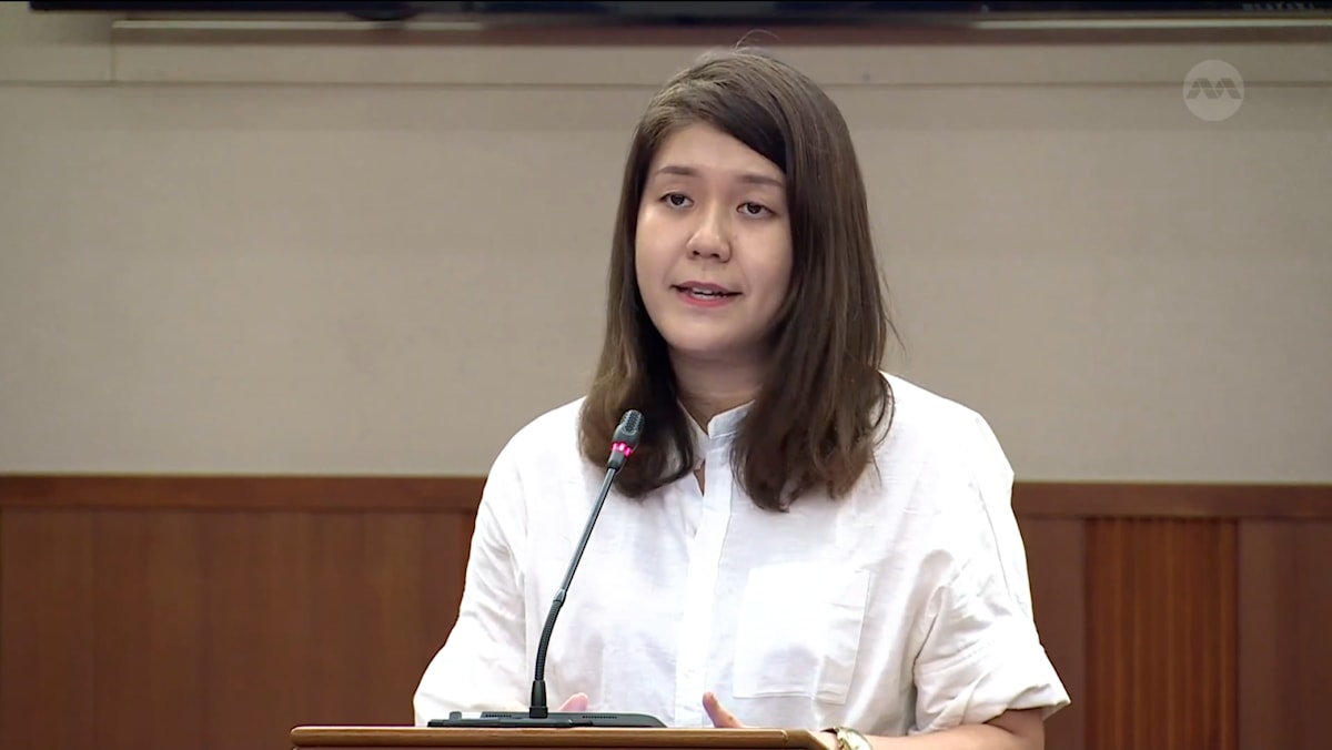 Lee Hui Ying on National Council of Social Service (Amendment) Bill - CNA