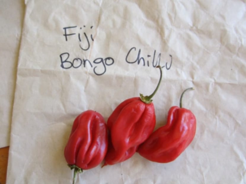 New Zealand men charged over bongo chilli assault - TODAY
