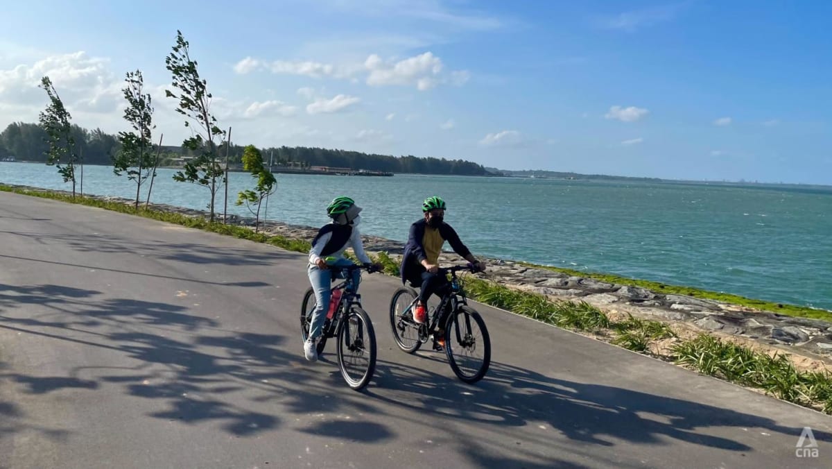 Commentary: In green Singapore, most youth don't spend much time in ...