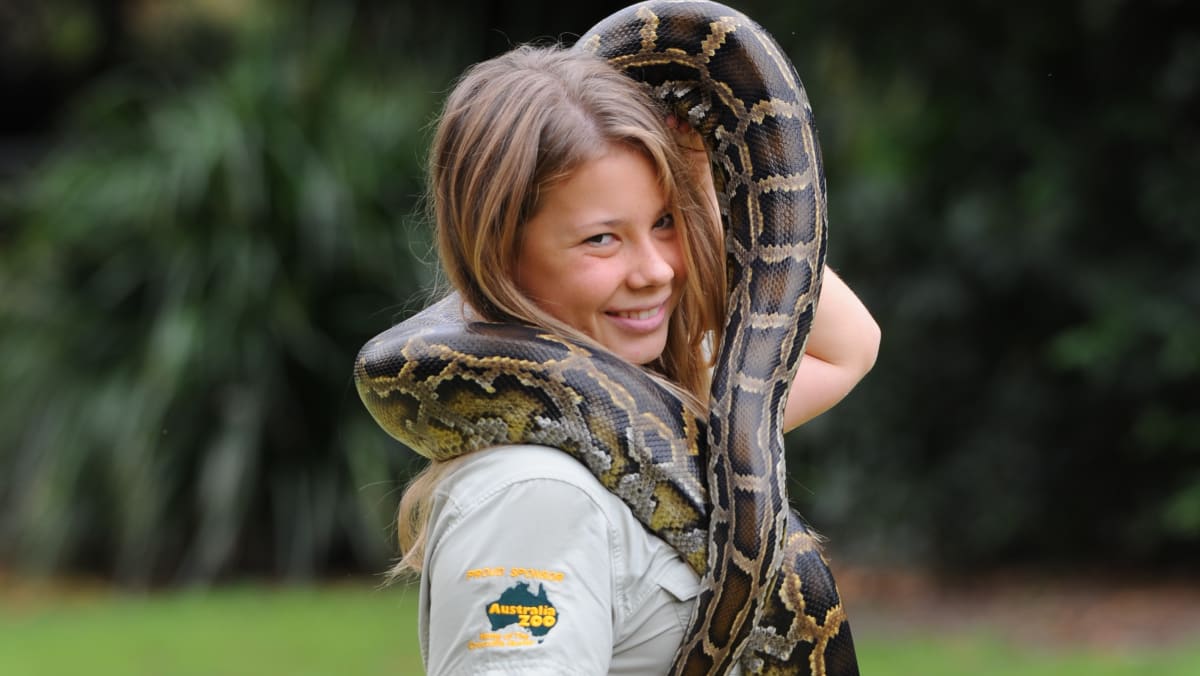 steve irwin and bindi meeting python