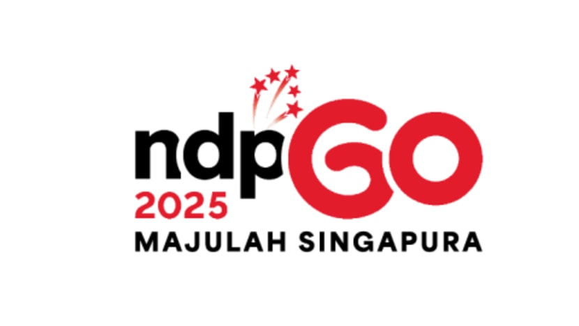 NDP 2025: Red Lions, naval divers to parachute into Padang, Marina Bay ...
