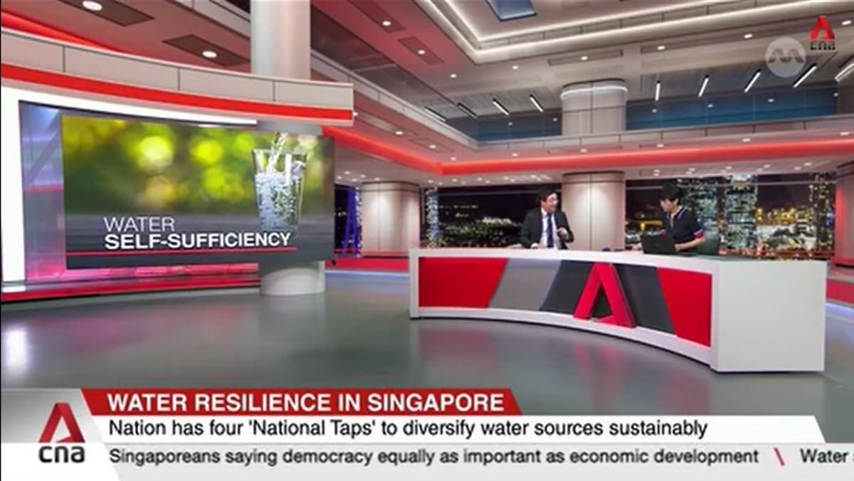 Assoc Prof Darren Sun on Singapore's journey towards water self ...