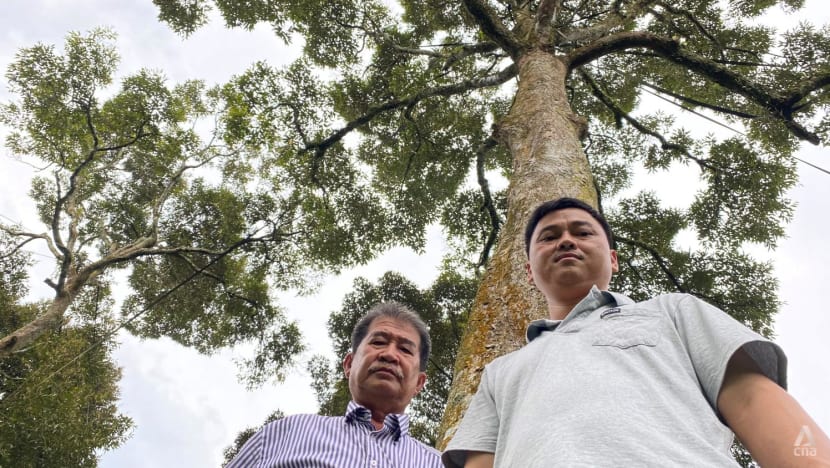 The king of kings: Penang growers top competition with durians from 40 ...