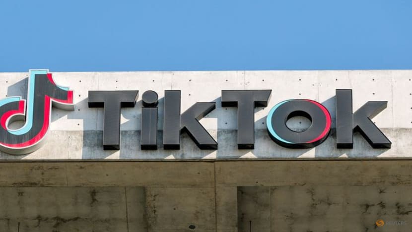 TikTok stops working for US users - CNA
