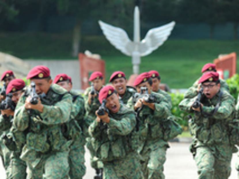 what do commandos do