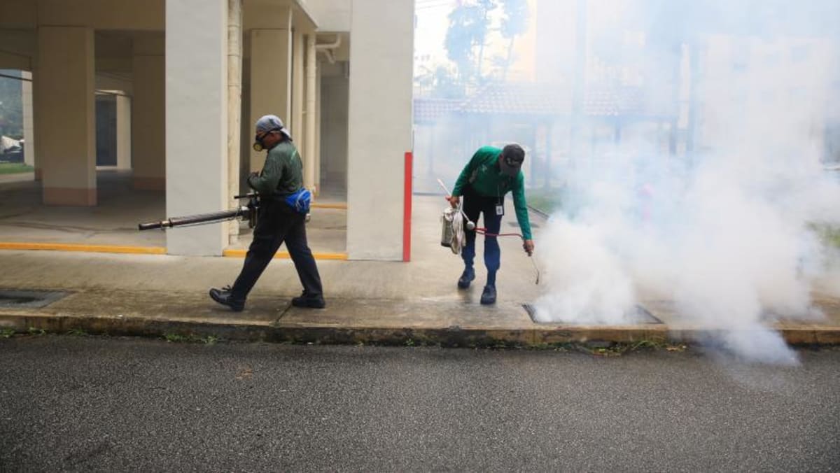 New Zika cluster in Hougang Ave 7; number of local cases hits 381 - TODAY