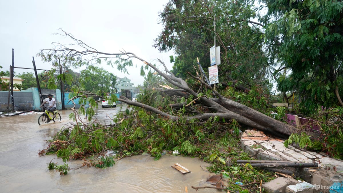 Thousands in western India relief camps start returning home as Cyclone ...