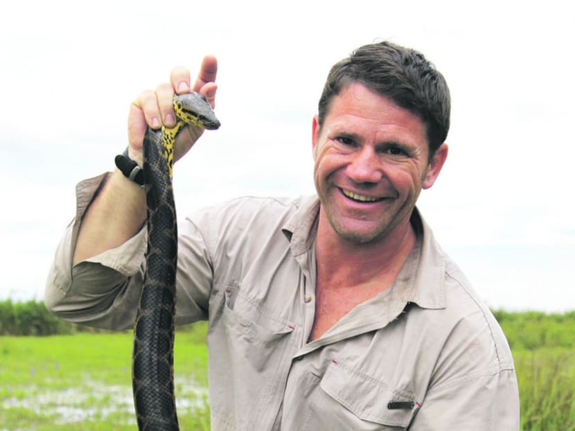 wolf bites steve backshall