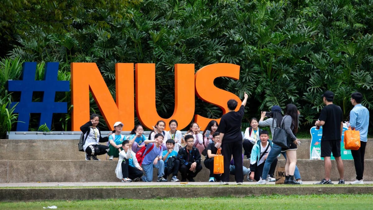 NUS to offer free, student-led guided walking tours for tourists to manage visitor traffic on ...