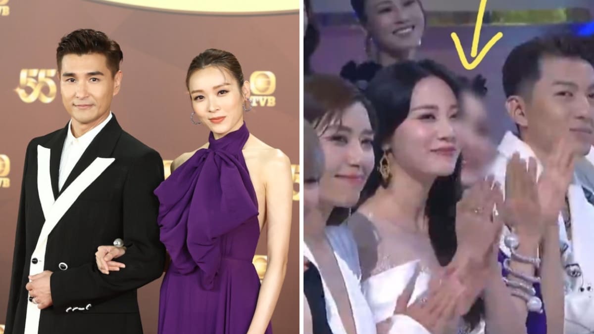 Ali Lee's Face Blurred Out During China's Broadcast Of TVB Anniversary ...