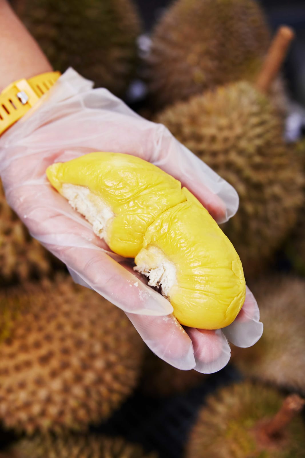 Grounded Airline Pilot Turned Durian Seller Looks Like Taiwanese Star ...