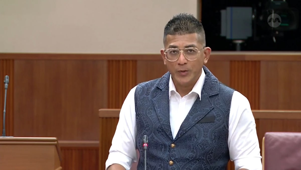 Committee of Supply 2025 debate, Day 7: Darryl David on a stronger and ...