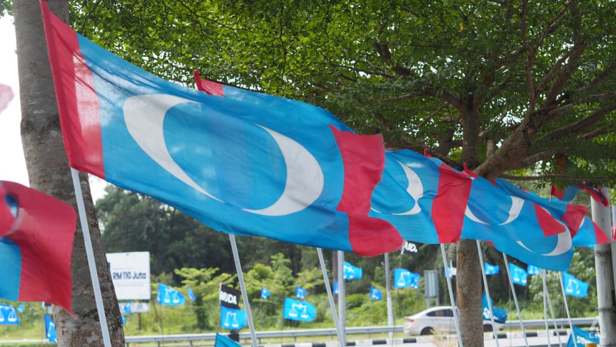 Malaysia election: Anwar’s Parti Keadilan Rakyat unveils 72 candidates ...
