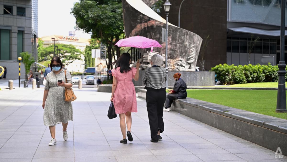 Flexi-work guidelines not enough to return to the labour force ...