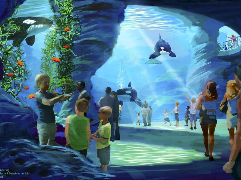 California agency approves expansion of SeaWorld whale tanks - TODAY