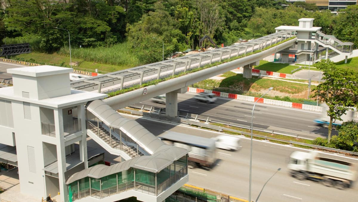 New 110m cycling bridge opens in Jurong West - CNA