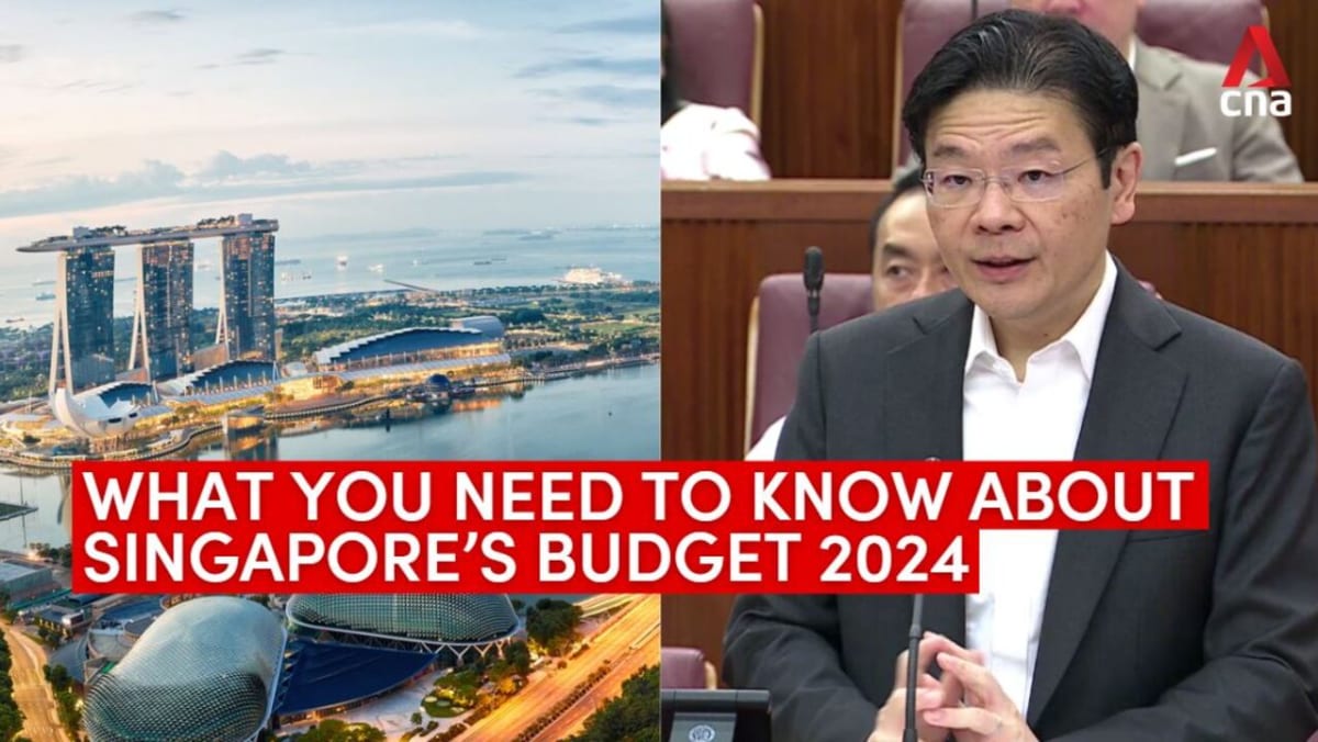 Singapore Budget 2024: All you need to know | Video - CNA