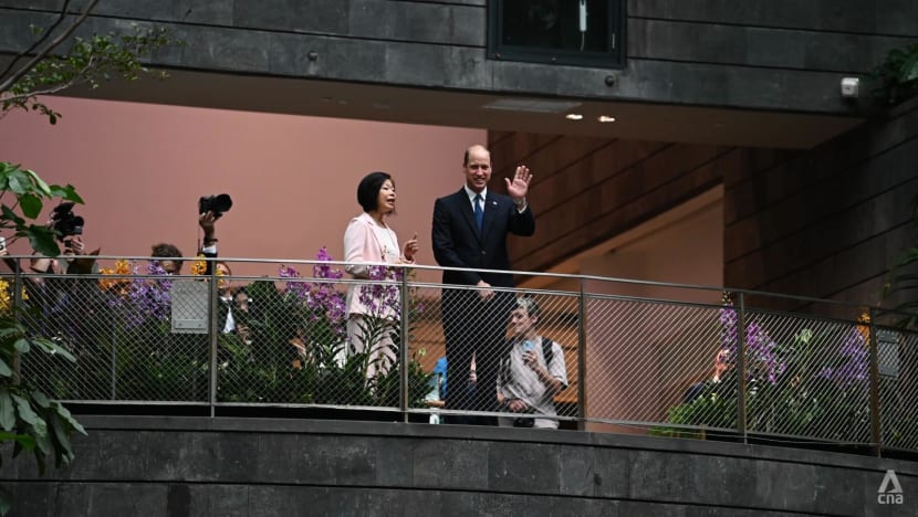 Prince William arrives in Singapore for annual Earthshot Prize award ...