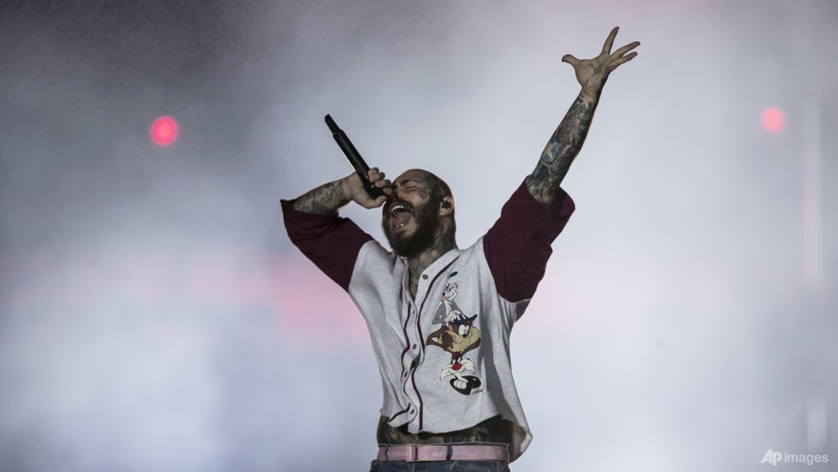 Post Malone, experiencing 'stabbing pain', postpones show - CNA Lifestyle