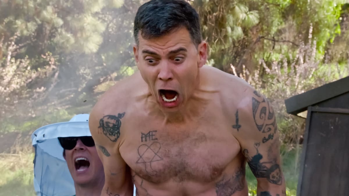 Jackass Star Steve-O Started Filming Stunts To Make Ex-Girlfriend Worry ...