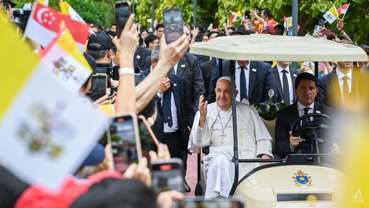 Pope Francis arrives in Singapore for final leg of Asia-Pacific tour - CNA