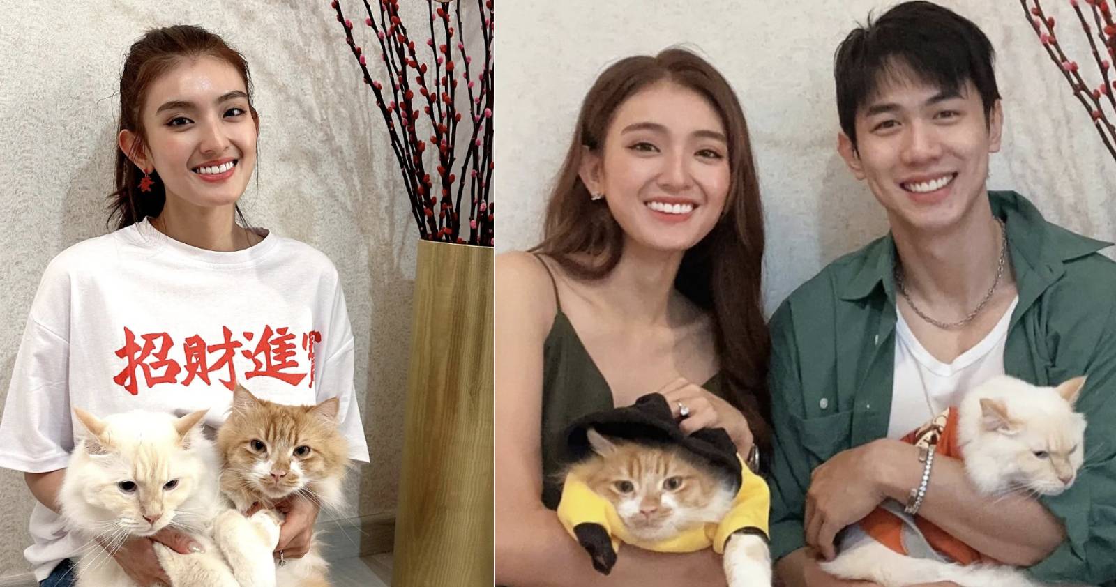 Hong Ling Does Not Think Her Cat Likes Fiancé Nick Teo More Despite ...