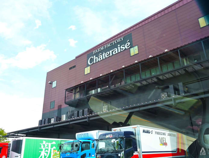 Behind the scenes at Chateraise's HQ in Japan: From cakes to hotels and ...