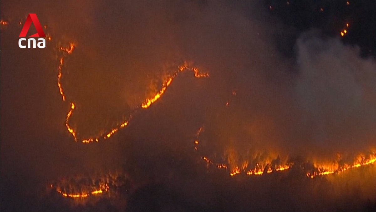 Japan wildfire: 1 killed, thousands evacuated from Ofunato | Video - CNA
