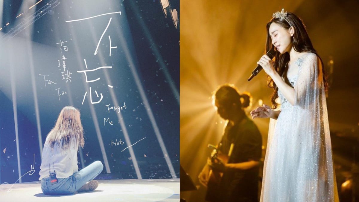 Christine Fan Dedicates New Song To Fan Who Died On The Way To Her ...