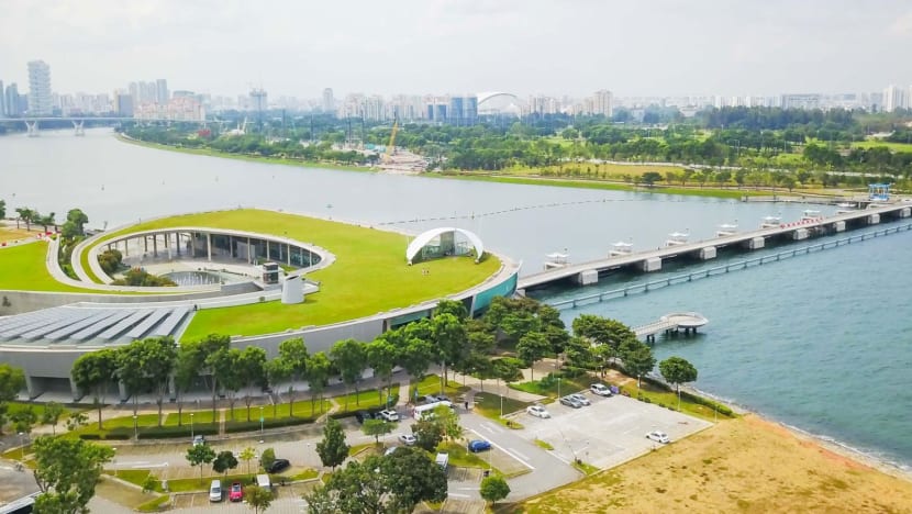 To help mitigate climate change, Singapore is aiming to achieve net ...
