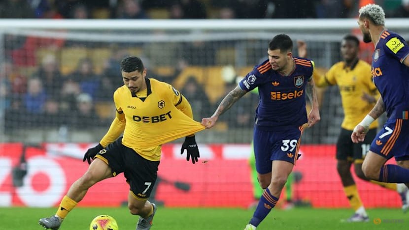 wolves stadium drawing